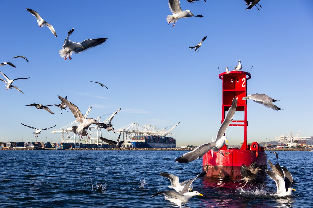 Port of Long Beach cuts Diesel Pollution 87% - Material Handling Wholesaler